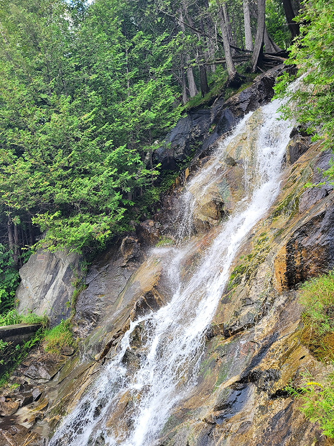 Peter Gillman waterfall puts on a spectacular show, tumbling down rocky outcrops like nature's version of a water park.