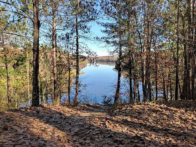 Peek-a-boo! The river plays hide-and-seek through the trees, offering glimpses of blue that reward the patient hiker.