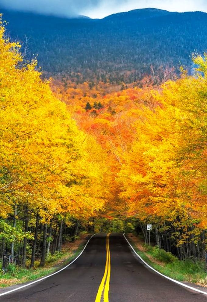 This tree-lined road explodes with autumn colors that look like someone spilled every warm crayon in the box across the mountainside in the best way.