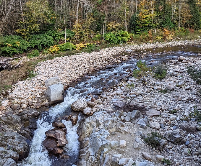 Rocky relations: Ancient stones stand sentinel along the path, wearing coats of moss collected over countless Vermont seasons.