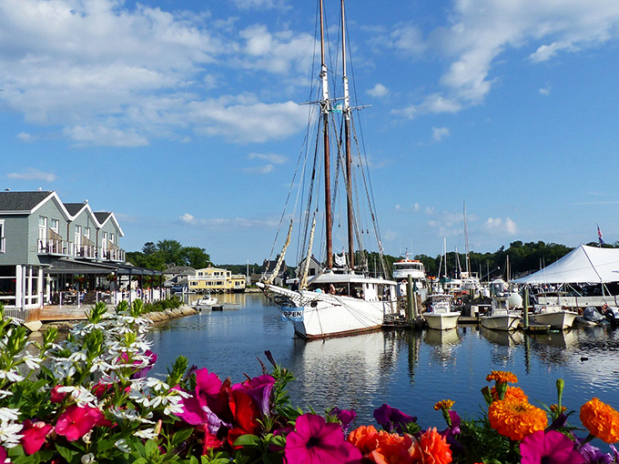 White sailboats dot Kennebunkport's harbor like elegant swans, creating a postcard-perfect scene that captures Maine's maritime soul.