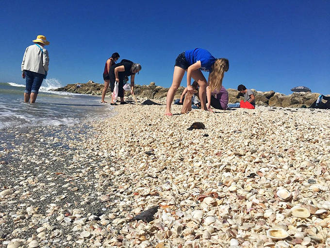 Seashell picking: The famous "Sanibel Stoop" in action &ndash; beach yoga that actually results in taking something home besides sore muscles.