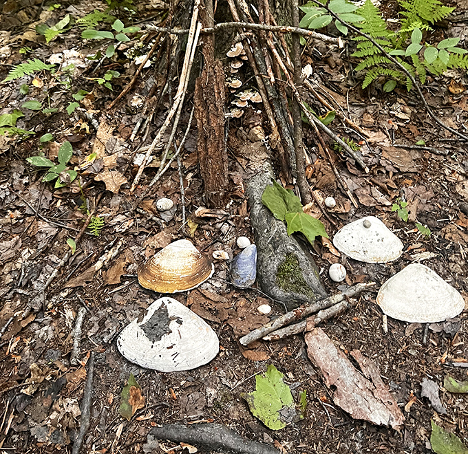 Tiny treasures arranged with care &ndash; shells and stones form a miniature dwelling fit for the most discerning woodland sprites.