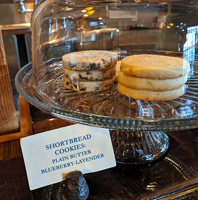 Shortbread cookies stand at attention—plain butter soldiers alongside their blueberry-lavender comrades, both ready for tea-time duty.