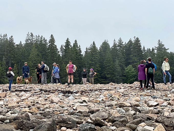 Visitors gather on nature's viewing platform, proving that the best theater has no walls and an ever-changing show.