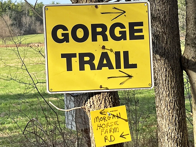 Follow the yellow sign to adventure! The Gorge Trail beckons with promises of rushing waters and swinging bridges ahead.