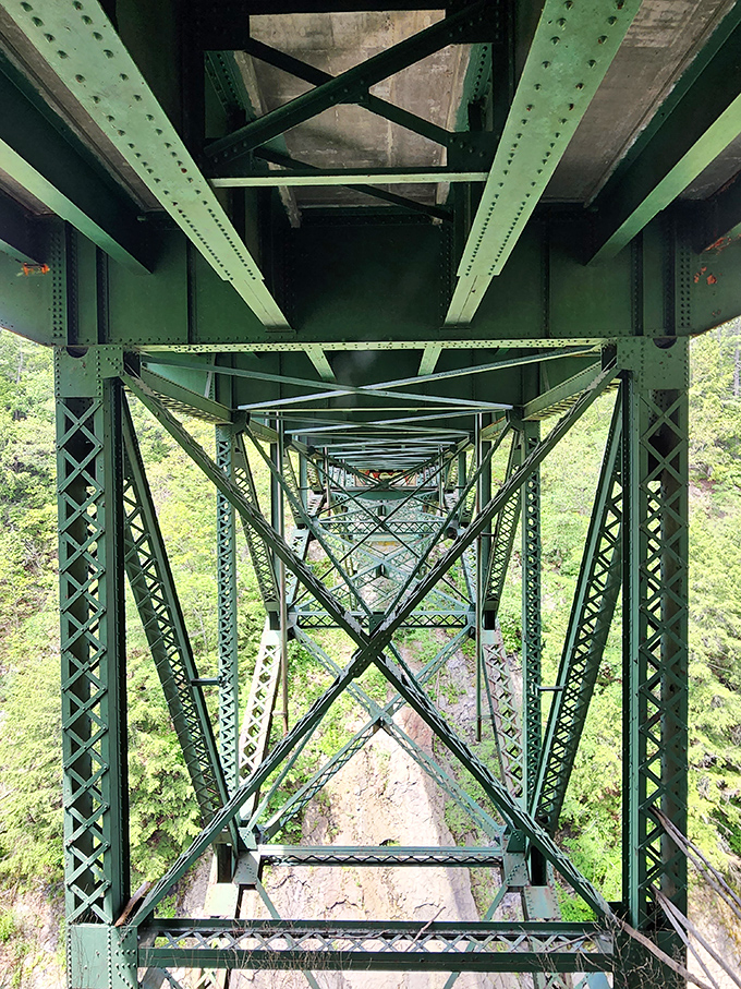 Looking up from beneath reveals the bridge's intricate steel skeleton, a geometric contrast to the organic wilderness that embraces it.