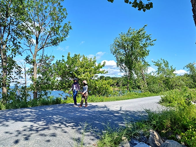 Nature's perfect frame: dappled sunlight through trees creates ever-changing patterns on this section of the Island Line Trail.