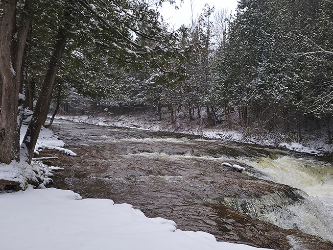Winter transforms Ocqueoc Falls into a crystalline wonderland where flowing water defies freezing temperatures, creating nature's ice sculpture garden.