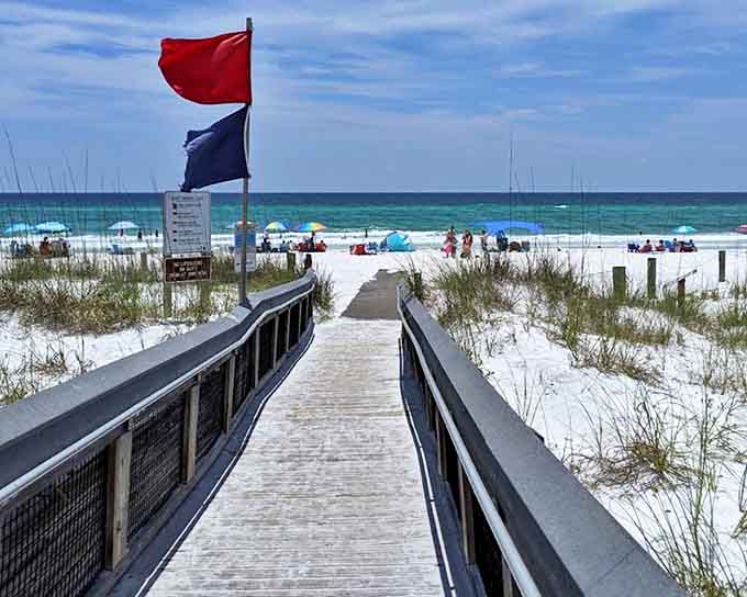 Red and blue flags stand sentinel over paradise, warning swimmers while promising adventures just beyond the dune crossing.