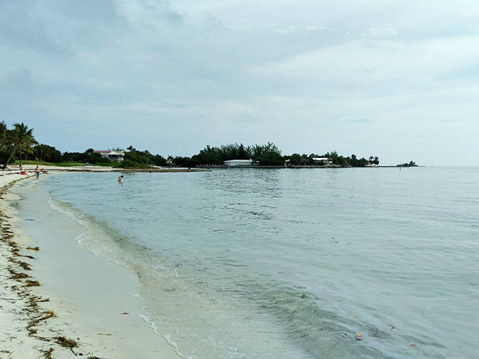 Sombrero Beach curves gently along Marathon's shoreline, where palm trees provide natural shade and crystal-clear waters invite afternoon swimmers.