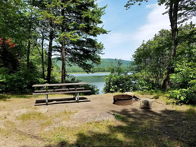 The quintessential Minnesota picnic spot &ndash; where lunch tastes better with a side of panoramic lake views and pine-scented breezes.