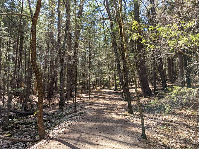Wooden boardwalks guide hikers through sensitive areas, blending human convenience with environmental protection.
