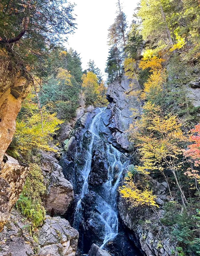 Angel Falls lives up to its heavenly name, descending like a bridal veil between towering cliff faces.