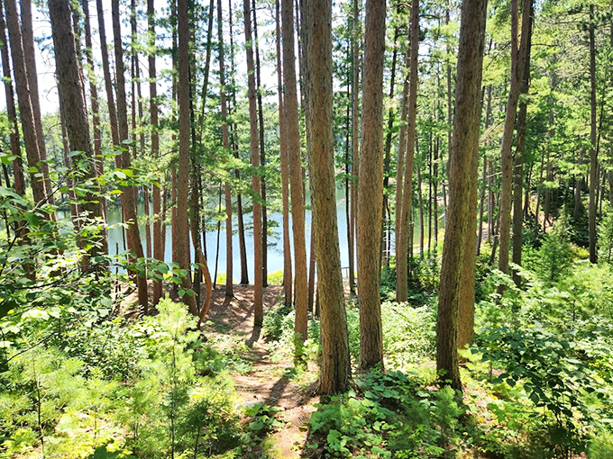 Bear Head Lake's crystal waters mirror the surrounding pines, creating perfect reflections that double the beauty of this northern Minnesota gem.