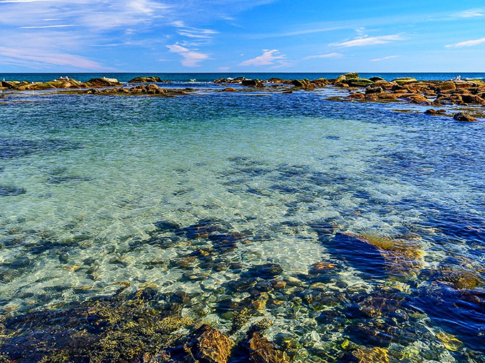 Crystal clear waters invite you to explore the rocky tide pools under a bright, beautiful Maine sky. You'll feel refreshed.