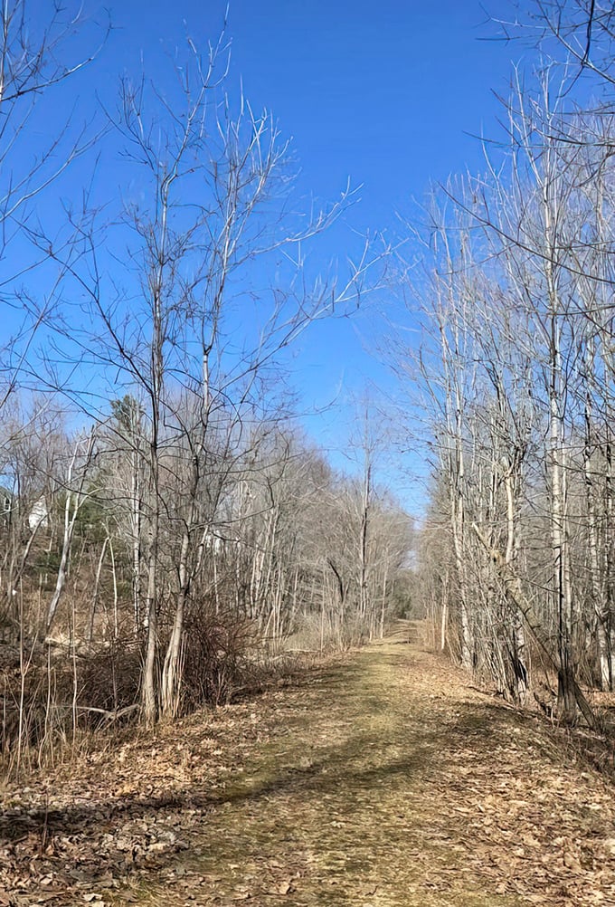 The Old Narrow Gauge Trail follows historic railroad paths, now transformed into peaceful walking routes through changing seasonal landscapes.
