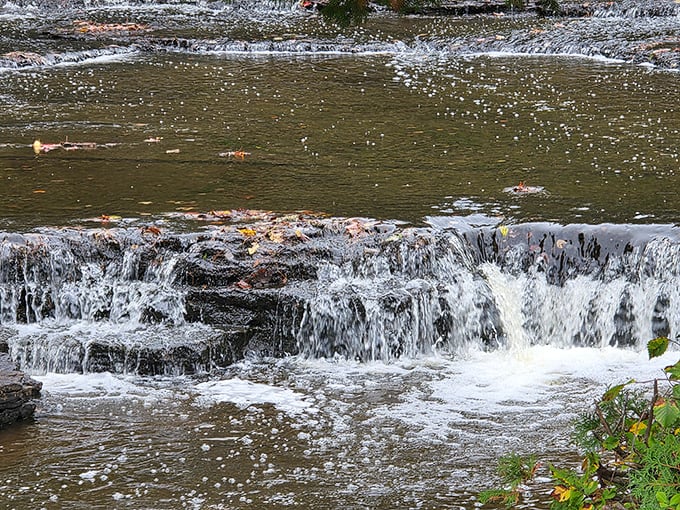 Rapid River Falls creates gentle cascades over rocky ledges, flowing through a community setting that blends natural beauty with accessibility.