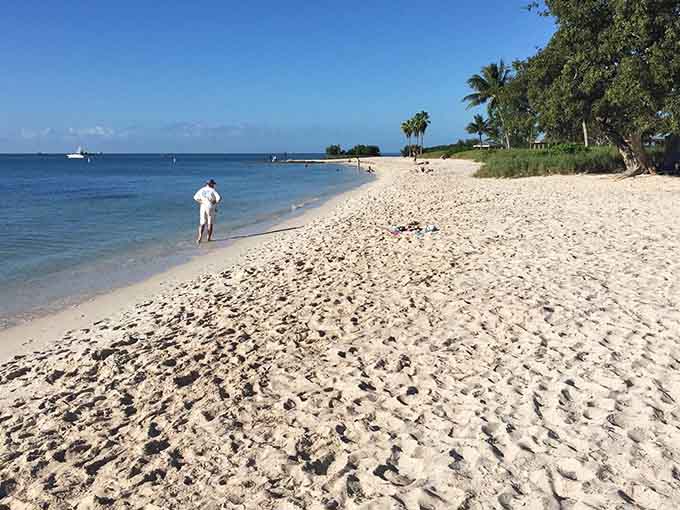 Palm trees sway over calm Keys waters where the living is easy and the swimming is even easier.