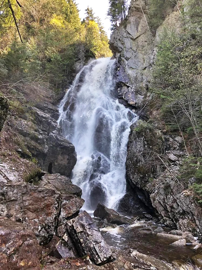 The fan-shaped cascade at Angel Falls seems to appear magically from the forest, rewarding hikers with divine views.