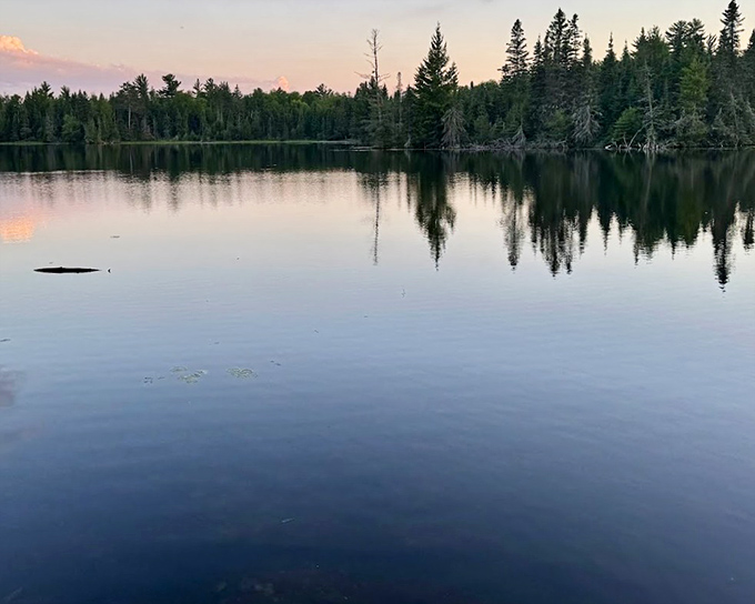Tall pines frame a glimpse of Bear Head Lake, where the quiet waters invite paddlers to explore hidden coves and spot wildlife along undeveloped shores.