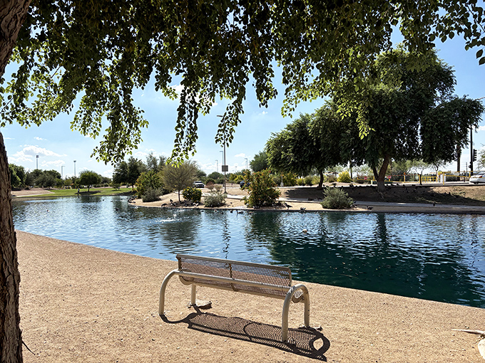 Finding a peaceful moment by the water at Friendship Park&mdash;the perfect place to sit back, relax, and enjoy Avondale's beauty.