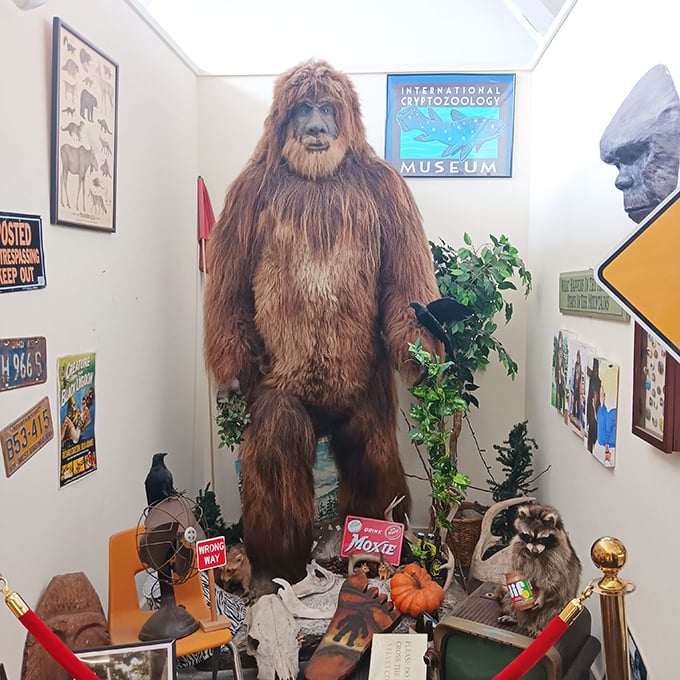 A towering Bigfoot display dominates the museum interior, surrounded by evidence and artifacts related to the search for mysterious creatures.