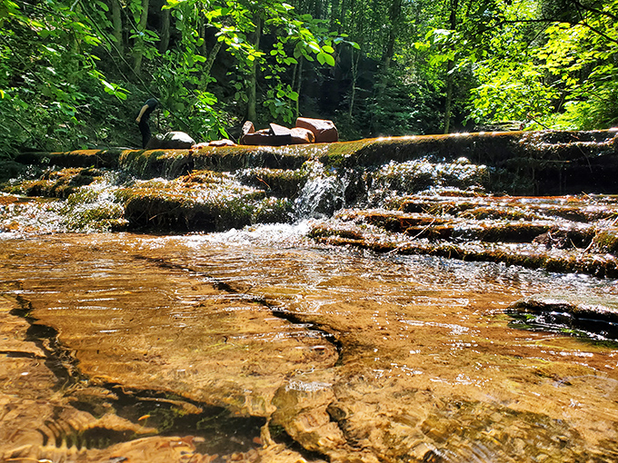 Sunlight filters through the forest canopy, illuminating the gentle cascade and creating a magical atmosphere at Lost Creek.