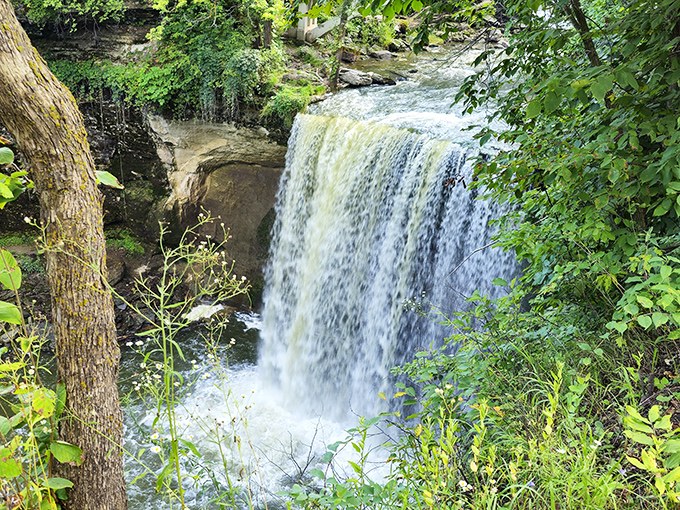 The dramatic plunge of Minneopa's lower falls reminds you that Mother Nature is the ultimate architect and engineer combined.