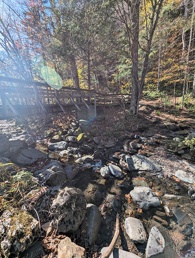 The forest parts to reveal this cascading masterpiece, where water tumbles over rock shelves like nature's own staircase.
