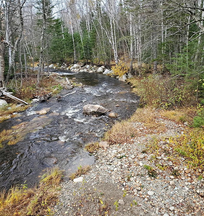Crystal-clear streams cross Oquossoc's woodland paths, creating natural rest stops where kids can search for salamanders hiding under mossy rocks.