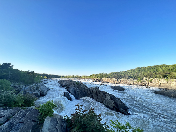 The rushing waters of Paterson Great Falls create their own microclimate of mist and rainbows. Nature's power on full display in the heart of New Jersey.