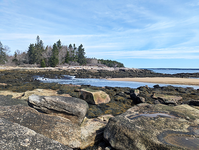 Tide pools and rocky shores turn every beach walk into a treasure hunt for curious explorers of any age.