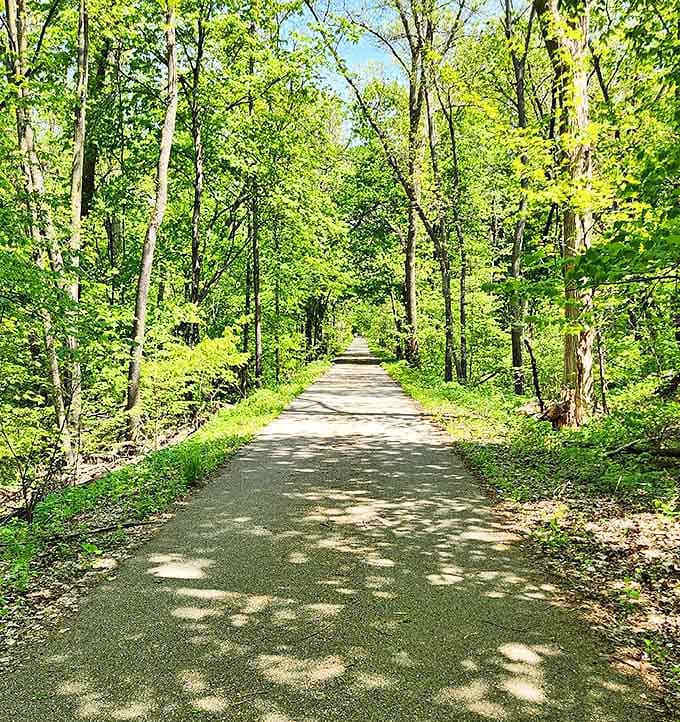 Dappled sunlight creates patterns on Sakatah's smooth trail surface, perfect for biking through tunnels of green.