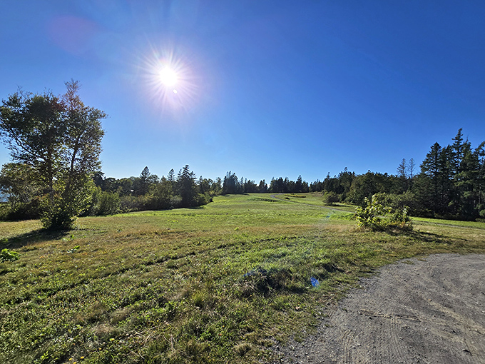 The peaceful setting of Reversing Falls belies the dramatic tidal action that transforms this spot every six hours.