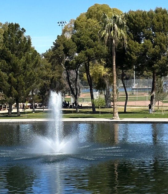 7 amazing playgrounds arizona ftr
