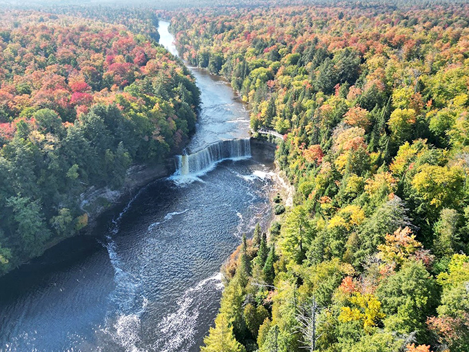 This aerial view reveals Tahquamenon Falls' true scale, where the river carves its ancient path through Michigan's pristine wilderness like a liquid amber highway.