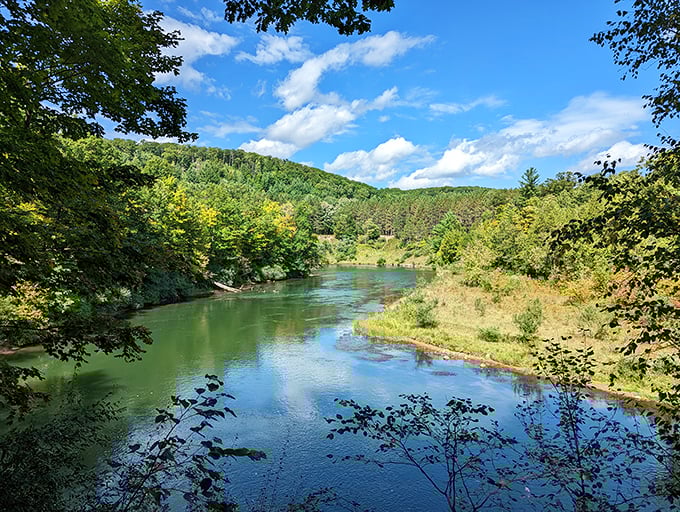 The river bends gracefully around the landscape, carving its patient path through Michigan's heartland just as it has for thousands of years.