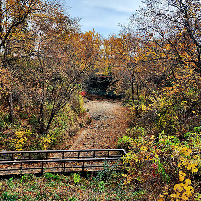 Autumn paints Wequiock Falls in golden hues, transforming the ordinary trail into a warm, inviting passage through Wisconsin's fall splendor.