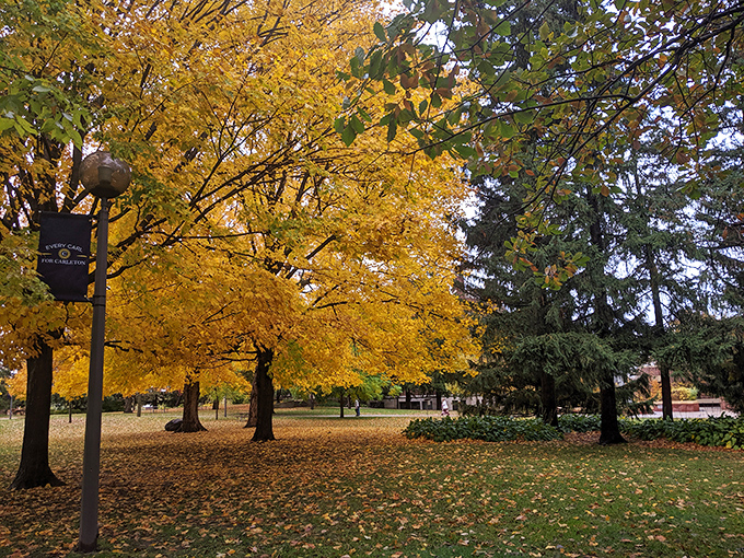Fall transforms Northfield's landscape into a golden wonderland, with maple trees creating a canopy of color that rivals any New England postcard.