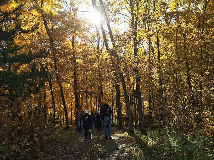 Fall's golden hour transforms Kerfoot's forest trails into a magical journey, where dappled sunlight guides hikers between adventures.