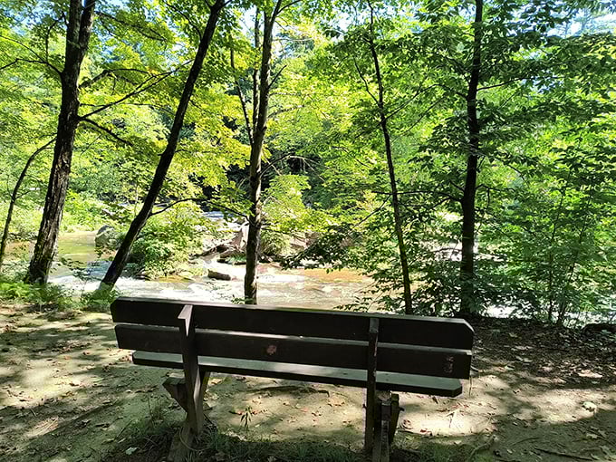 The perfect thinking spot &ndash; this riverside bench offers front-row seats to nature's most calming performance.