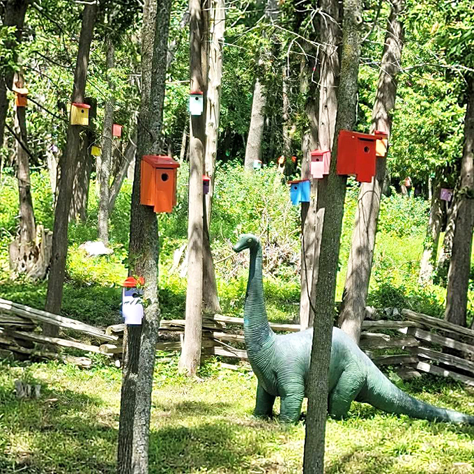 A neighborhood for the winged residents of South Hero, where real estate comes in every color and dinosaurs roam among the trees.