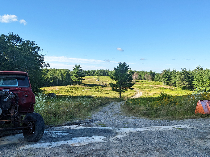 Burke Hill Farm's rolling landscape tells the story of generations who've worked this land with reverence and care.