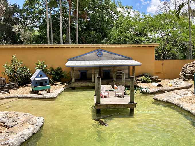 Even the turtles get their own little beach house complete with a dock, talk about living the dream!
