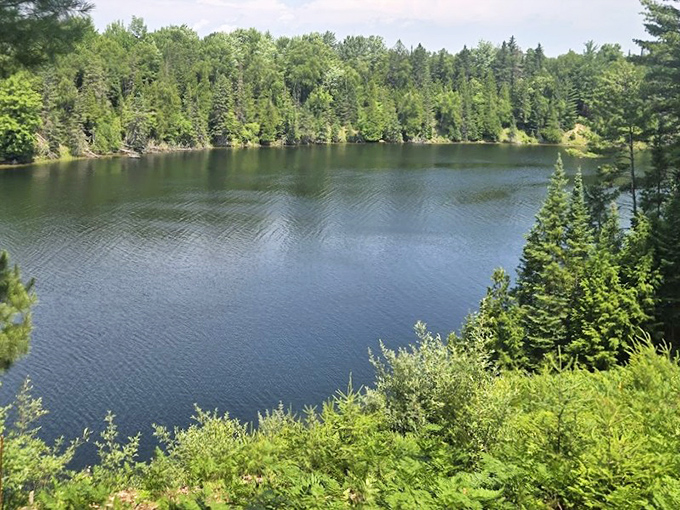 Summer's emerald embrace surrounds Foote Pond, where the water looks so pristine you'd swear someone Photoshopped it in real time.