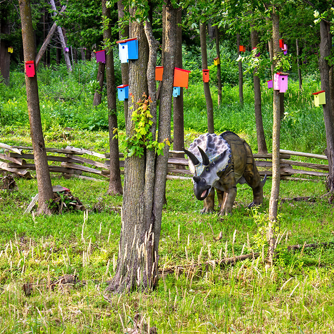 This triceratops seems perfectly at home among the birdhouses, creating a Jurassic-meets-Audubon scene that's uniquely Vermont.