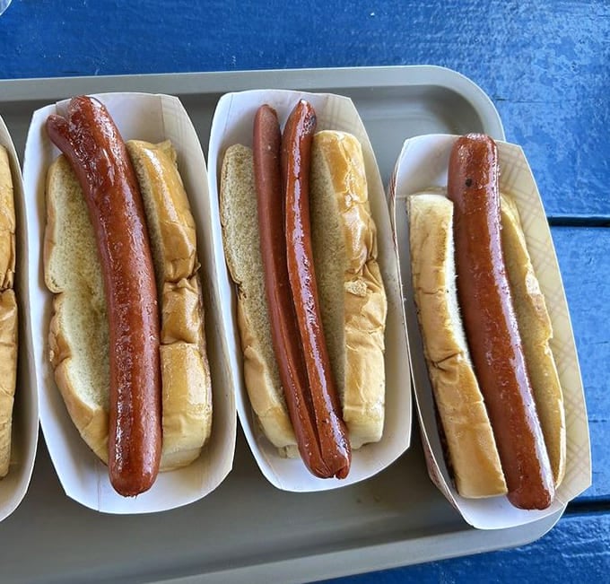 These beauties are ready for their toppings, like blank canvases waiting for your personal masterpiece of condiments.