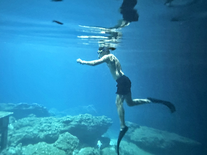 Freediving here means experiencing what it's like to be a very graceful, very temporary fish in nature's own aquarium without the glass walls.
