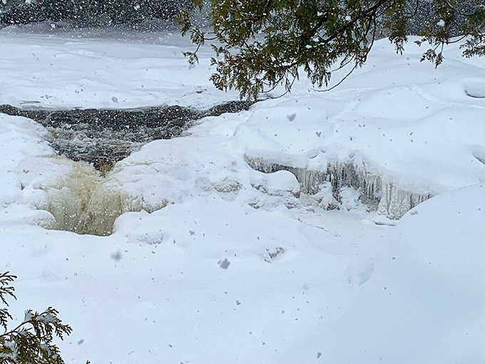 Winter transforms the falls into a sculptor's masterpiece, where water and ice dance together in suspended animation.